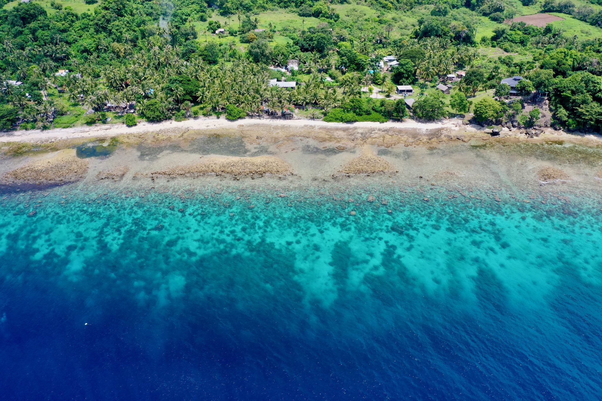 Marine Conservation Philippines Helps Locals Protect Their Reefs