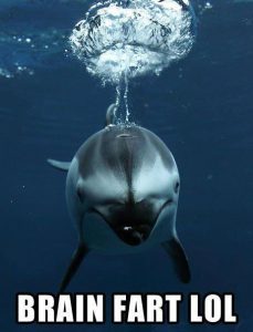 Our Favorite Scuba Diving Memes