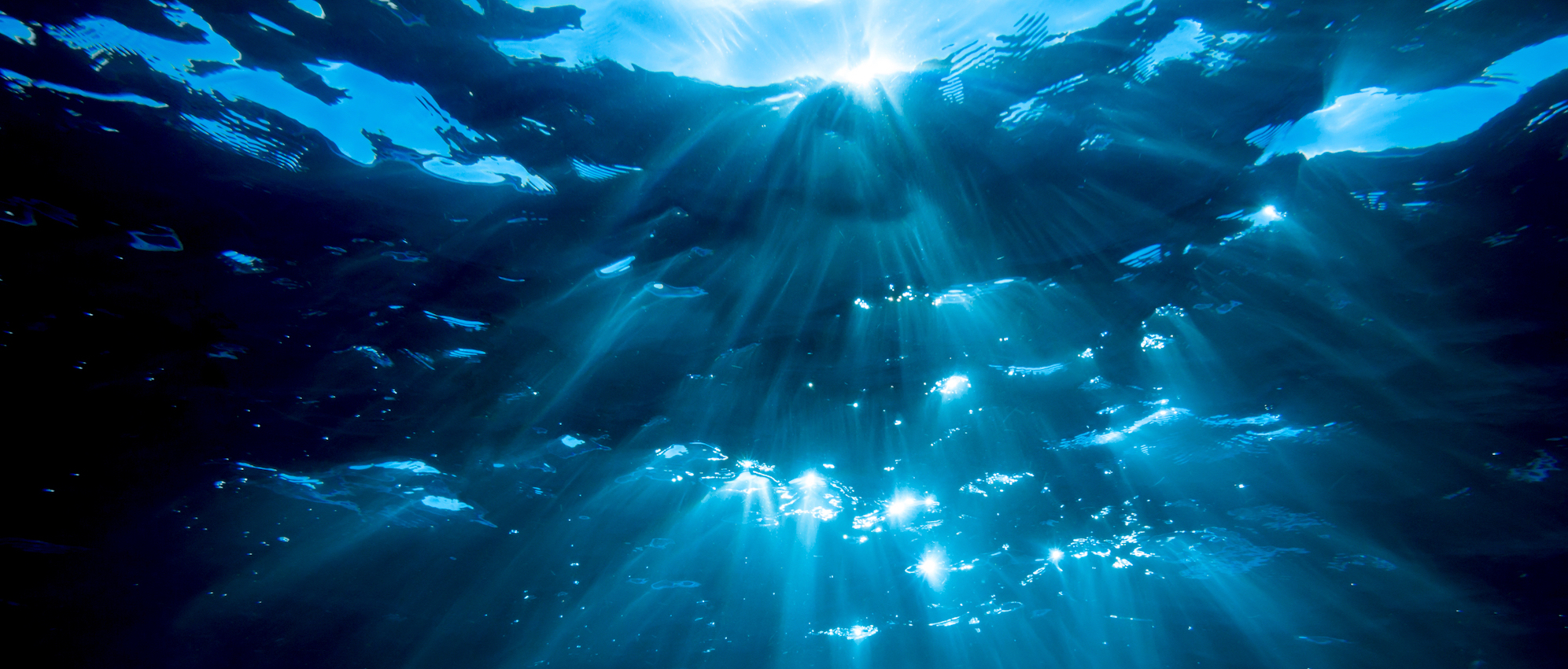 6 Tips for Editing Your Underwater Photos
