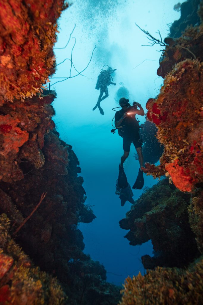 Where to Dive in Roatan