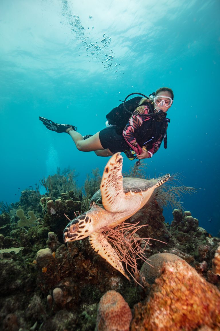 Where to Dive in Roatan