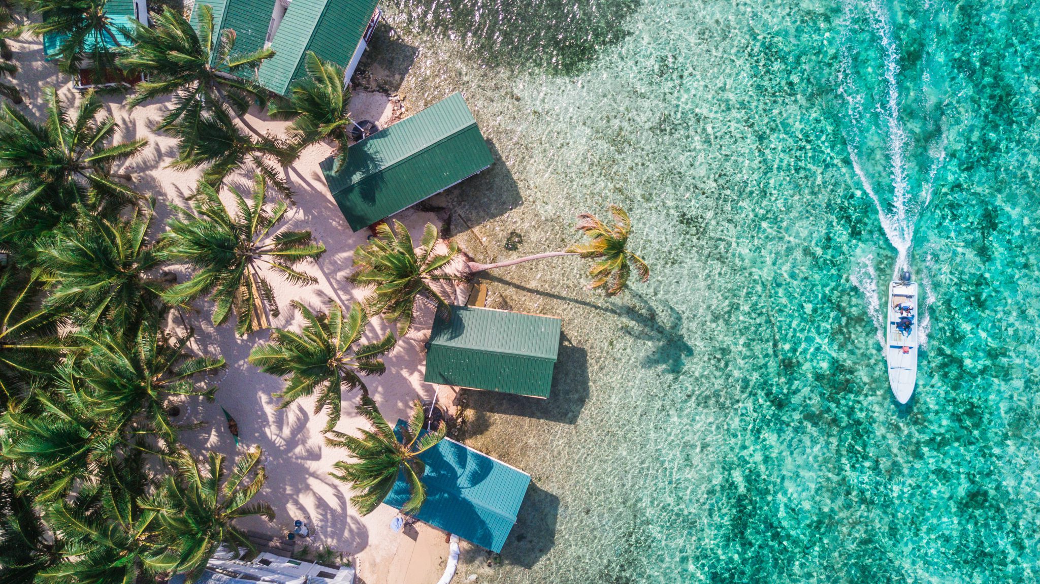 The Top 12 Places to Dive During the Holiday Season 2024