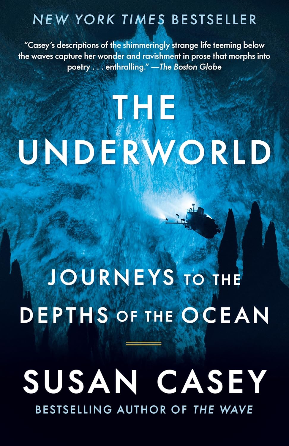 20 Best Ocean & Scuba Diving Books for Underwater Explorers