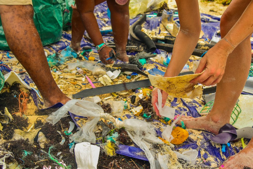 Ocean Conservation Spotlight: Kristal Ambrose in the Bahamas