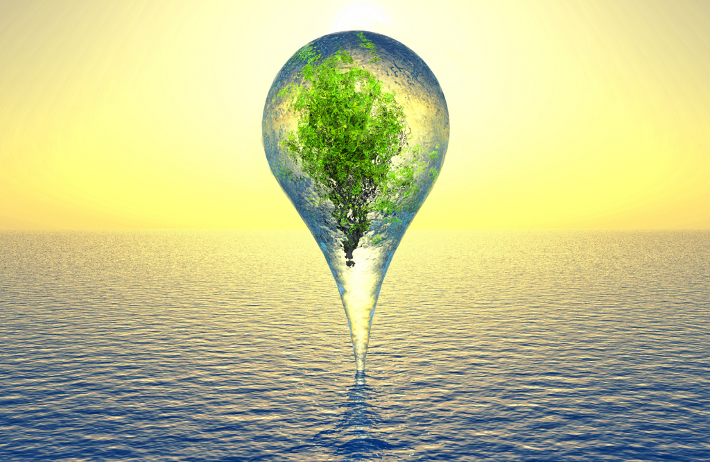 5 Ways to Celebrate Earth Day from Home
