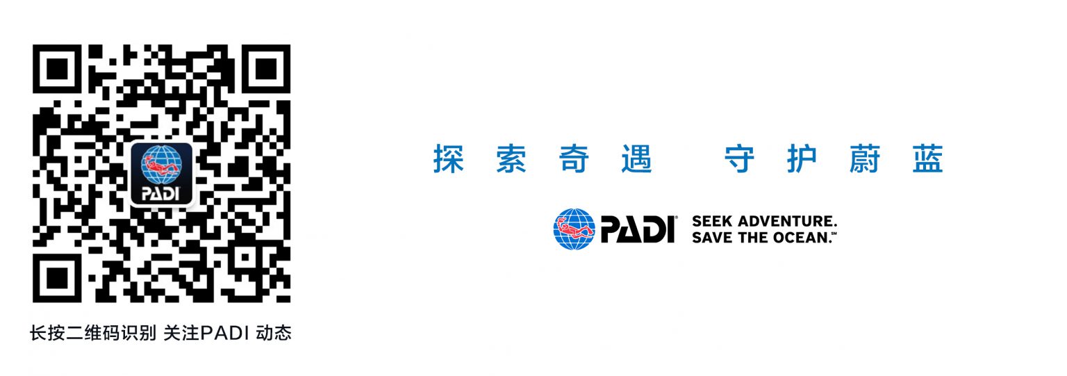 PADI 证书全面升级成为电子证书