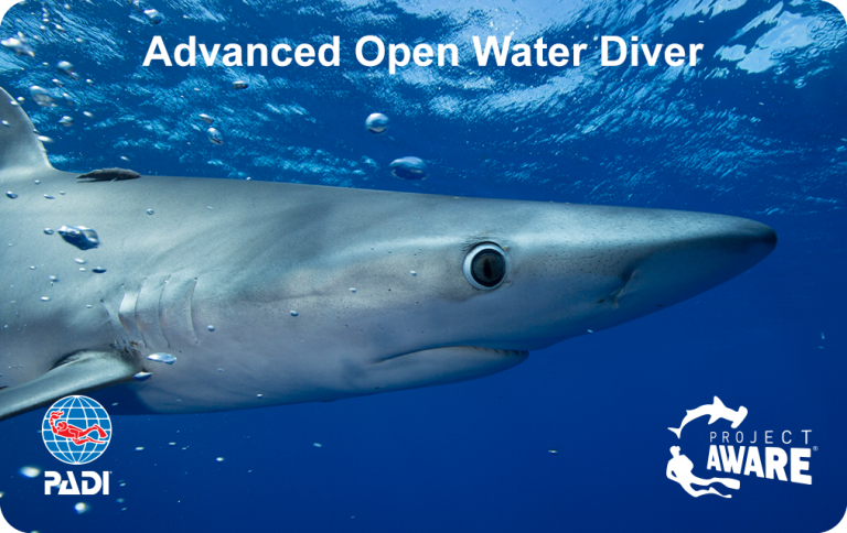What Does Your PADI Card Say About You?