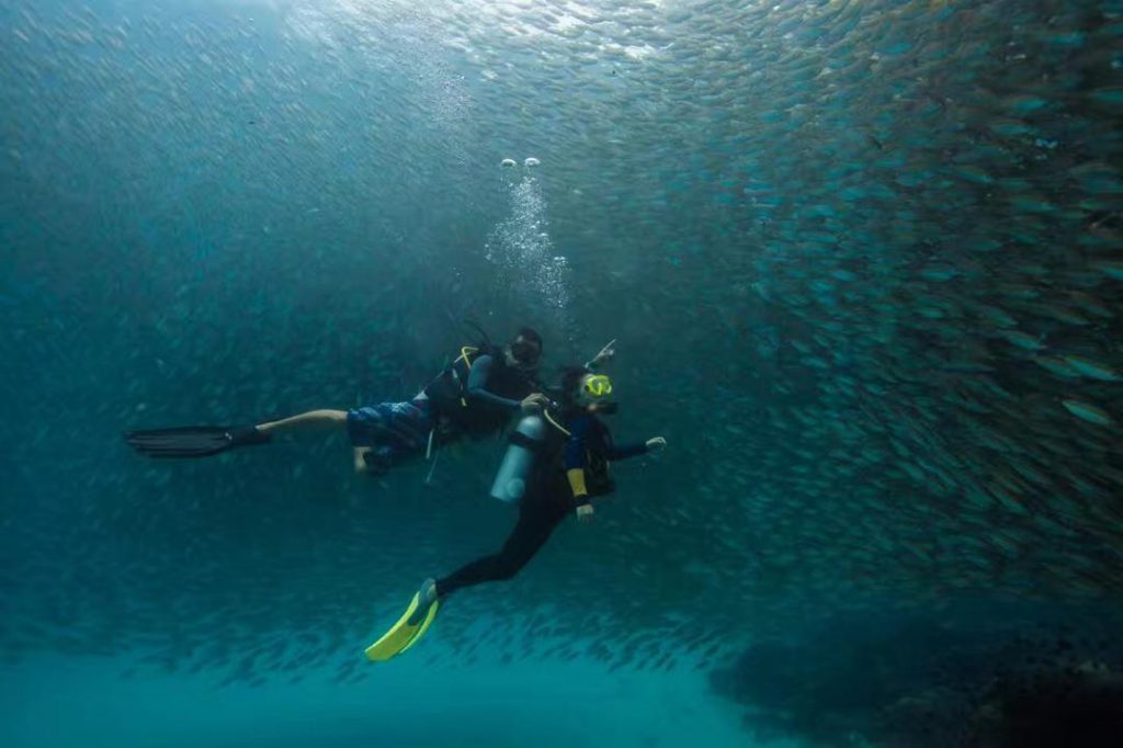 Nearby Kuala Lumpur, Redang Island Is a Must Dive