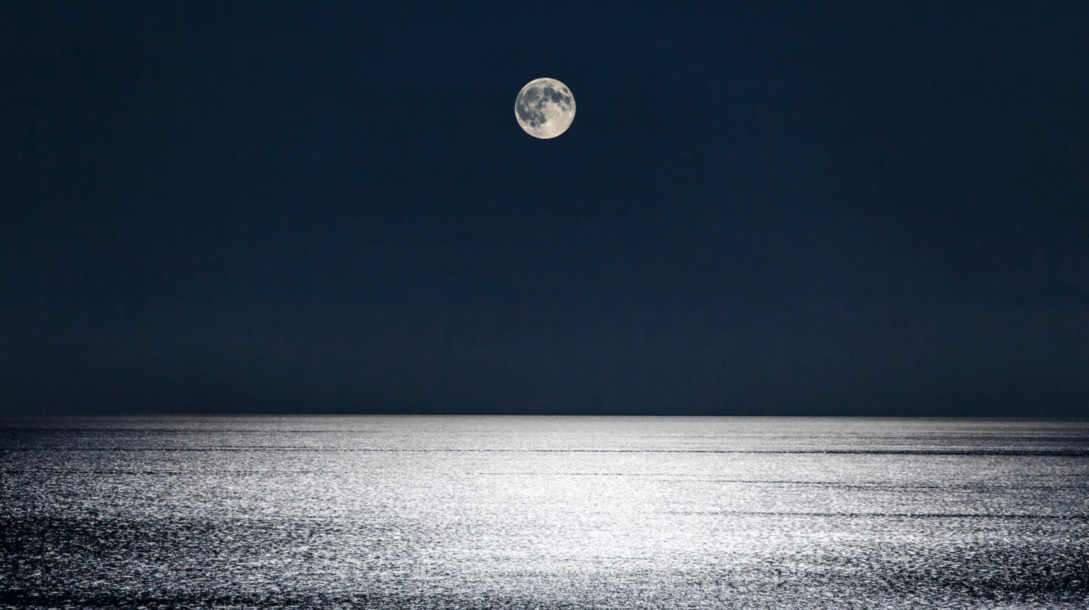 The Moon and Marine Life