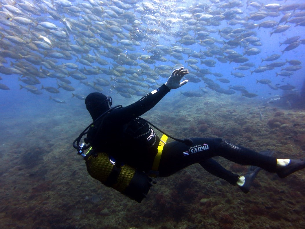 Top 5 Places to Dive in France
