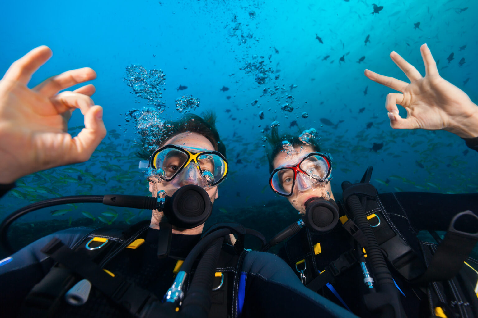 How to Scuba Dive: A Guide for Beginners [WITH PHOTOS]