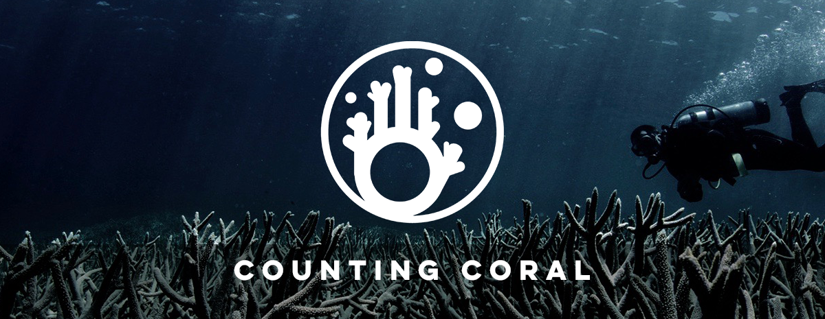 Counting Coral: Viola's Passion for Reef Restoration
