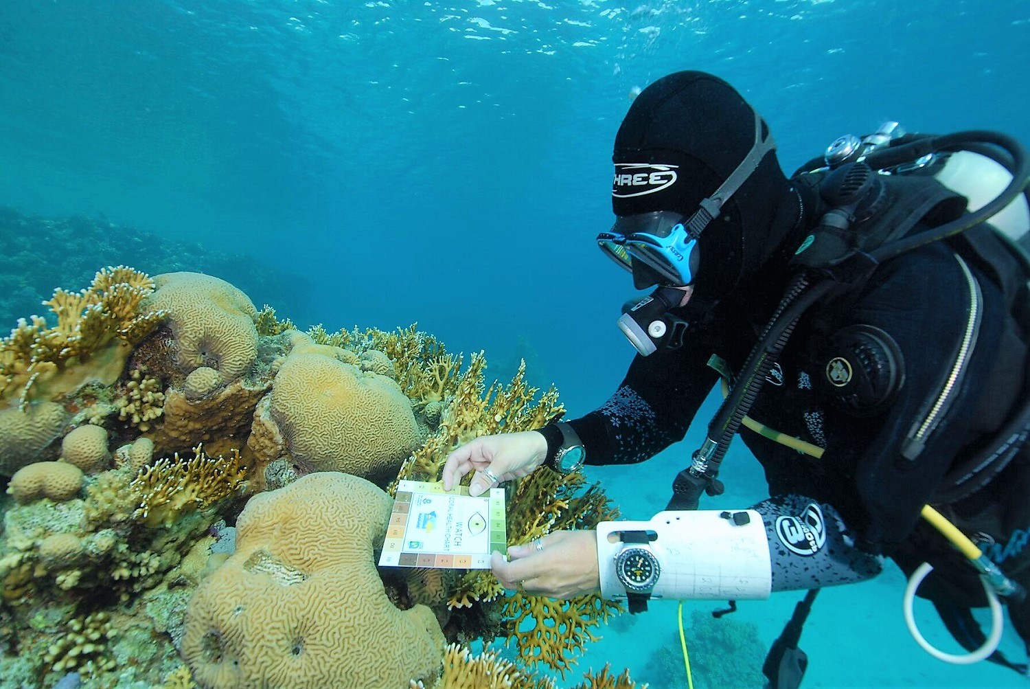 What Is Citizen Science?
