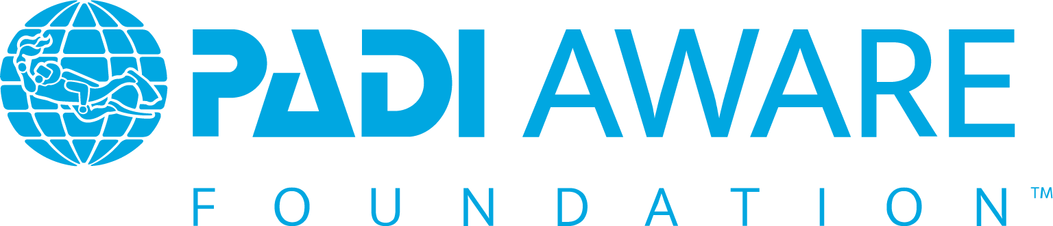 PADI AWARE Foundation’s Mako Shark Campaign Swells Collective ...