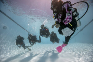 Try Dive vs. Discover Scuba Diving (DSD)