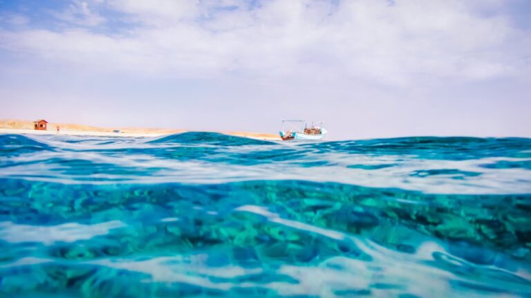 Best Red Sea Diving Resorts