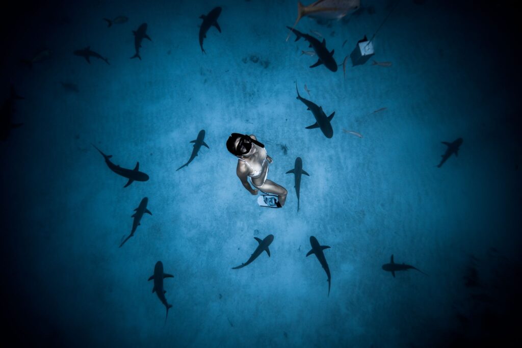 Sharks: 18 Everyday Things That Are More Dangerous