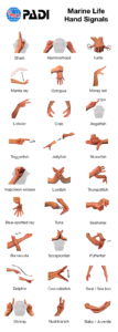 Marine Life Hand Signals for Underwater Communication