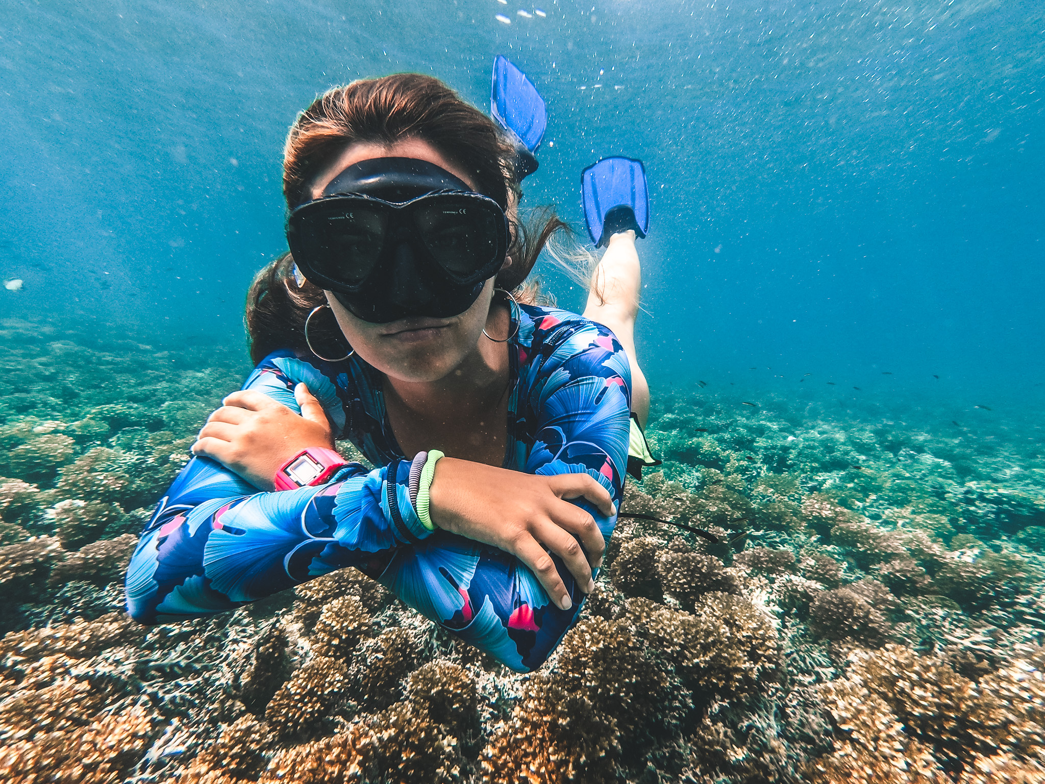 Coiba: Panama's Underwater Paradise Now Protected by Expanded Marine ...