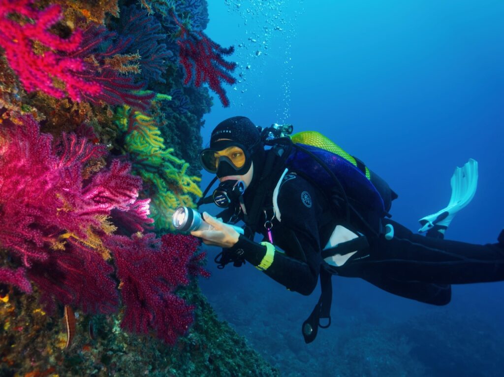 Diving in Costa Brava, Spain - A Garden of Eden Underwater and Above