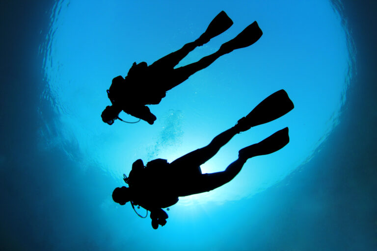 PADI Certification Rules | FAQs Answered