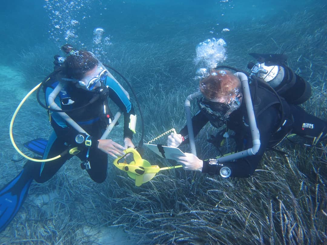 PADI AWARE Mission Hub Community Grant Program: Paying It Forward for ...