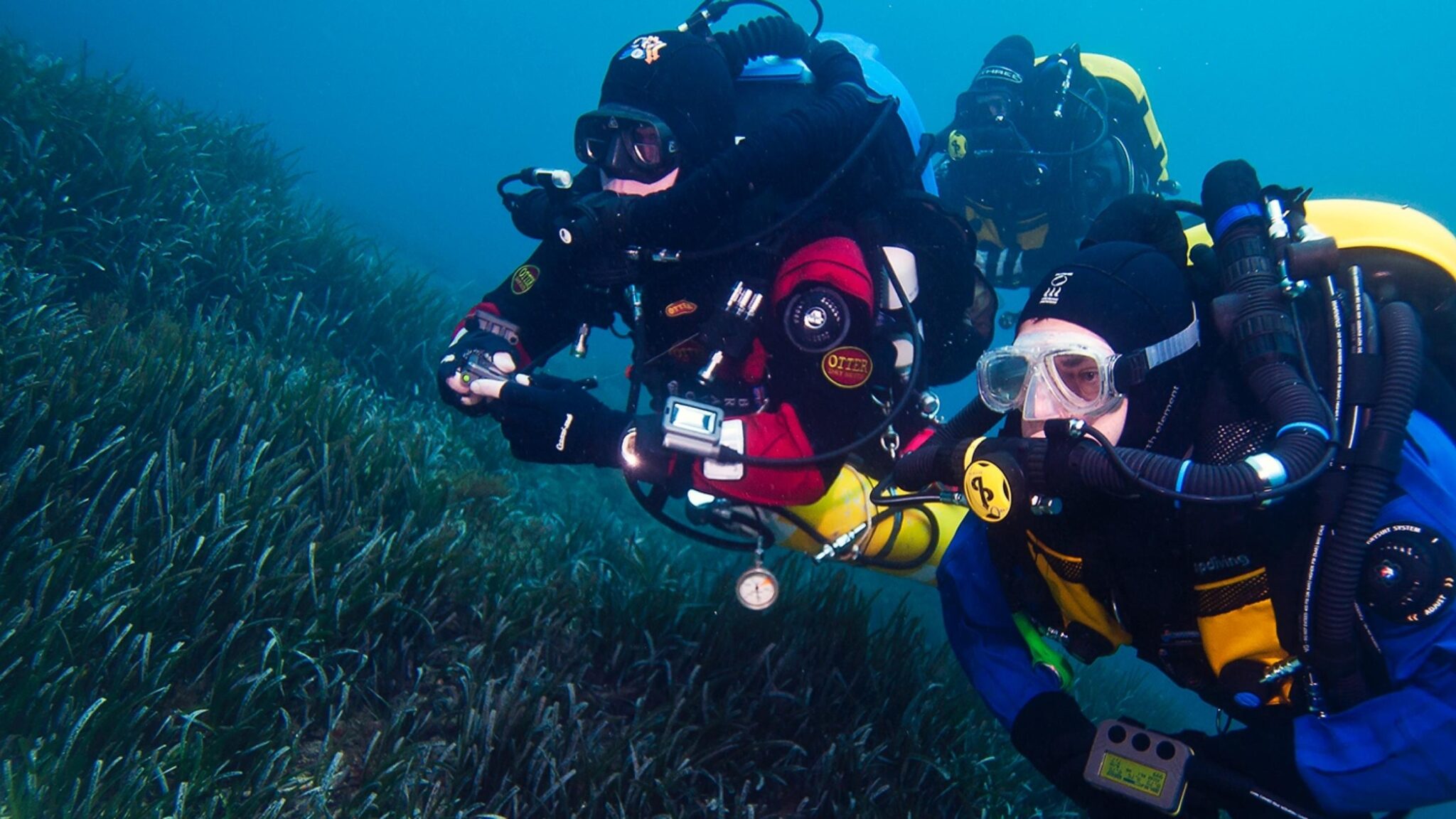 Rebreathers – What Are They & Why Would I Want to Dive One?
