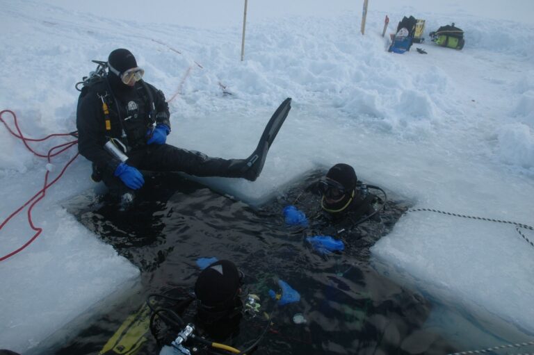 Ice Diving: What Does it Take to Be an Ice Diver?