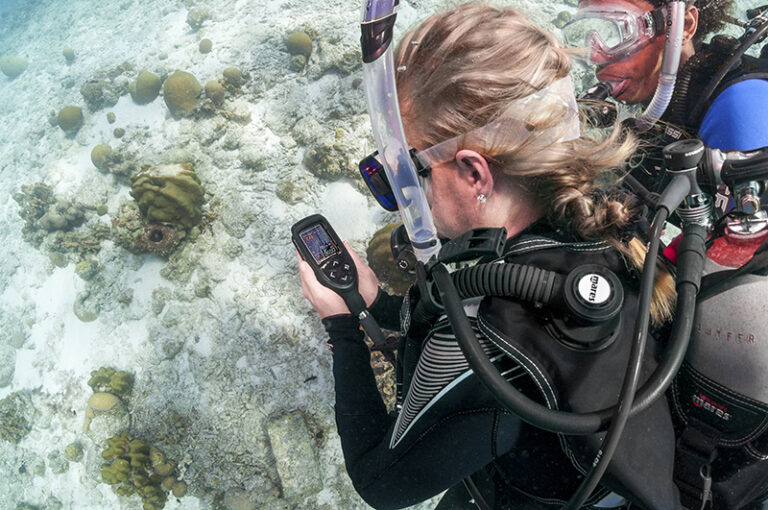 The 5 Best PADI Specialties for Beginners