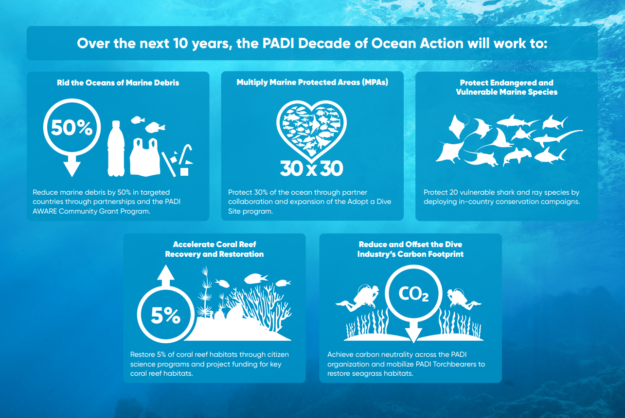 Ocean Conservation Success Stories from 2021