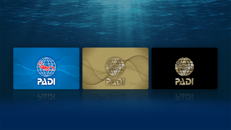 PADI Certification Card FAQs | Replace Lost PADI Card