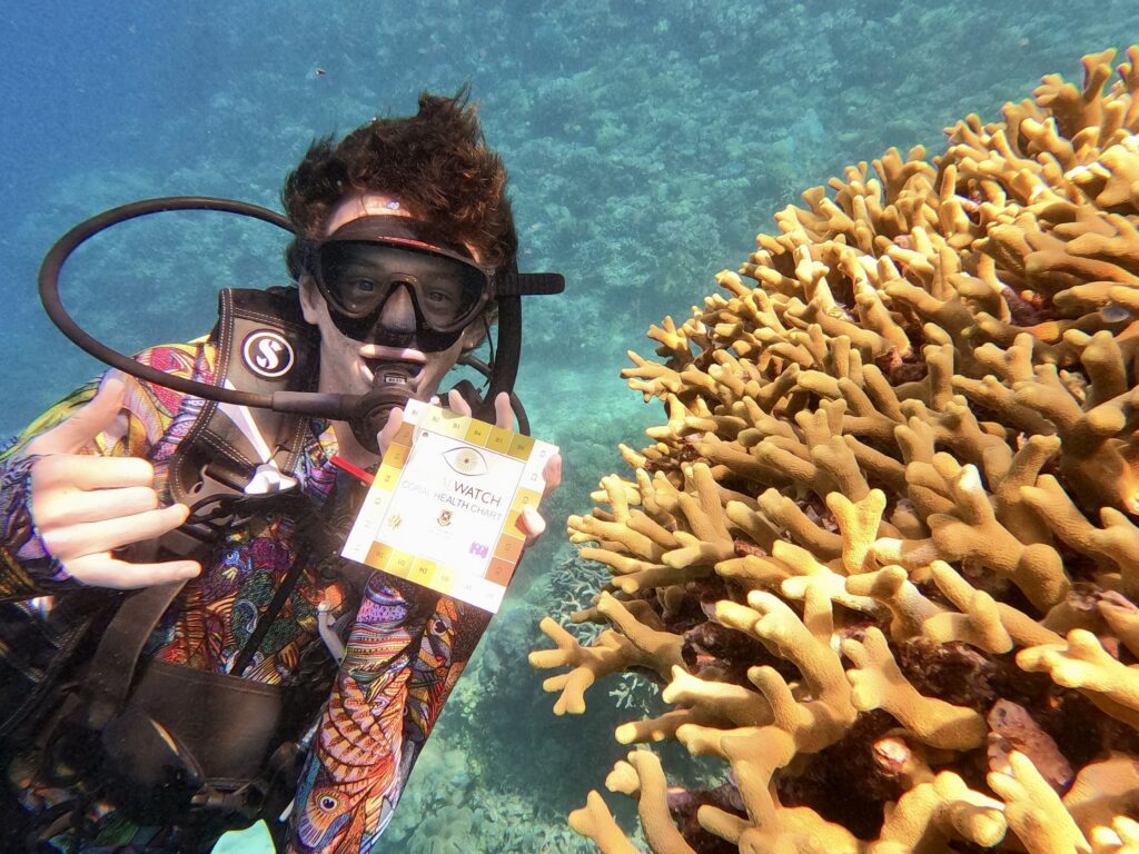 Facts About Brain Corals and Other Hard Corals