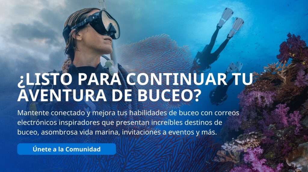 PADI eLearning Descuento | Cómo se amortiza la afiliación a un club