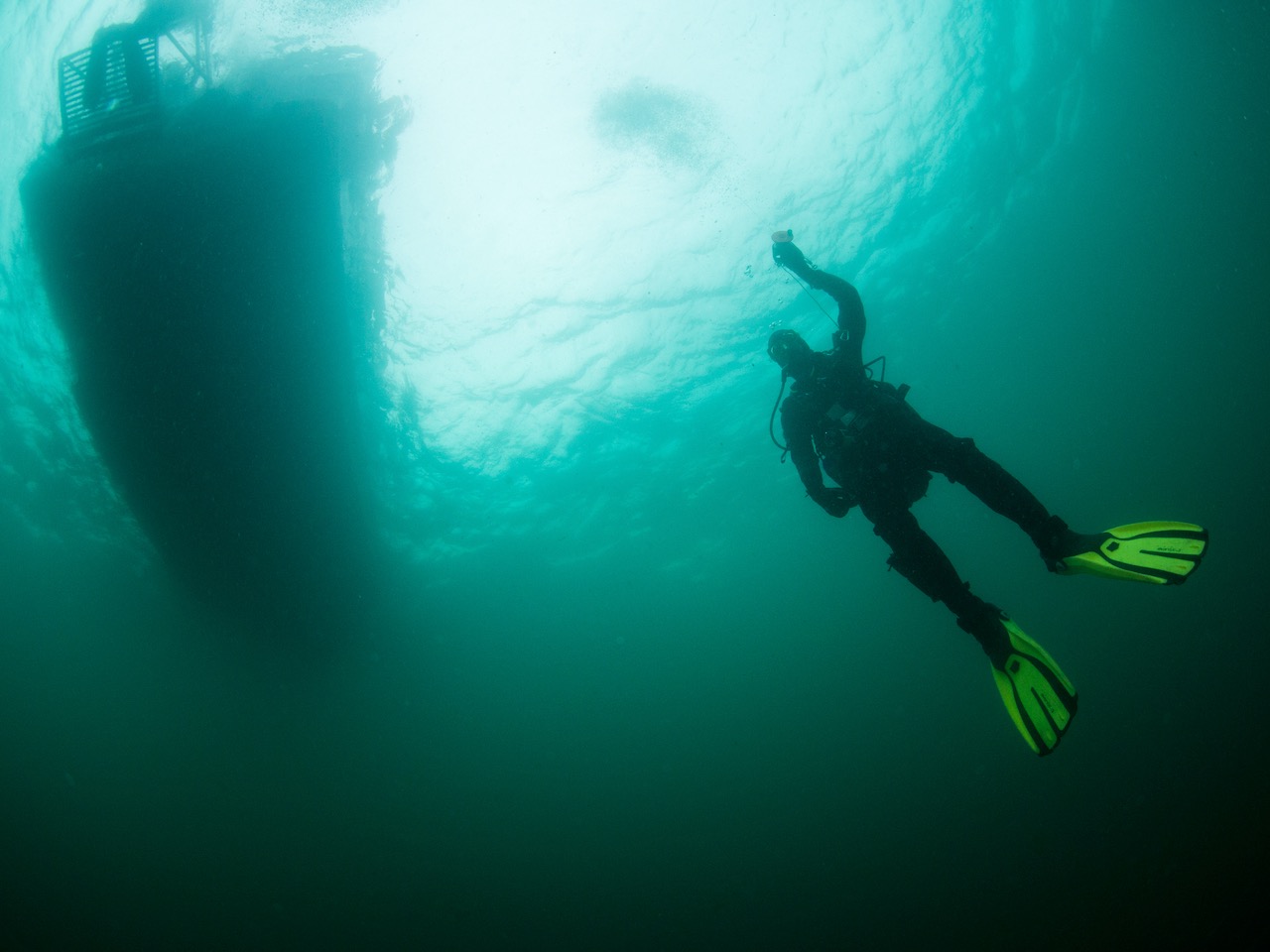 Get Involved with Dive Project Cornwall