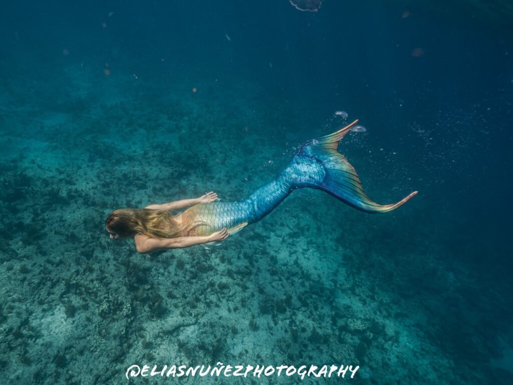 Benefits of Being a PADI Mermaid