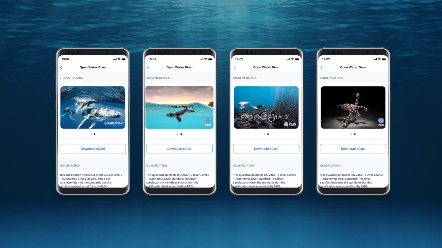 Create a Free PADI Account | View eCard Certifications and More