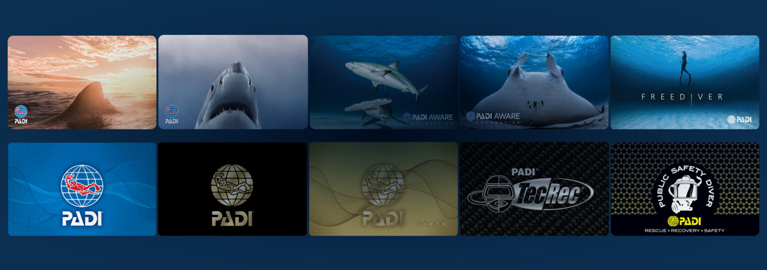 How to Identify a Diver License