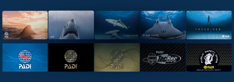 How to Identify a Diver License