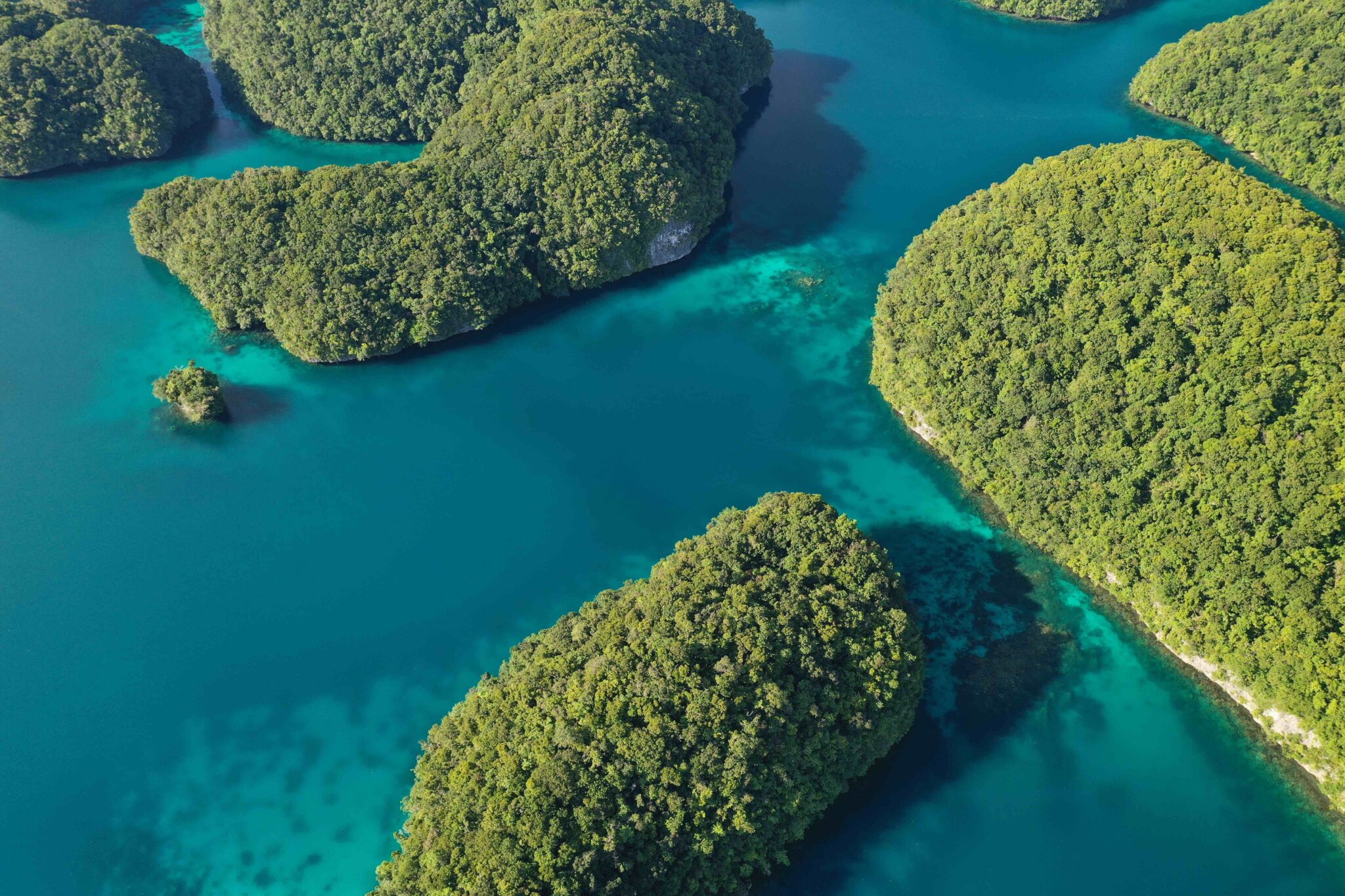 Sessanta splendide mete subacquee per celebrare i sessant’anni di PADI