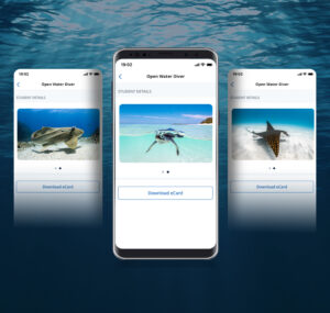 PADI Certification Card FAQs | Replace Lost PADI Card