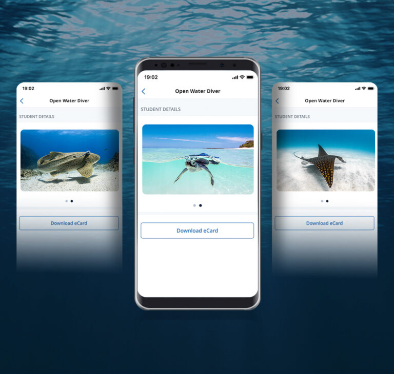 PADI Certification Card FAQs | Replace Lost PADI Card