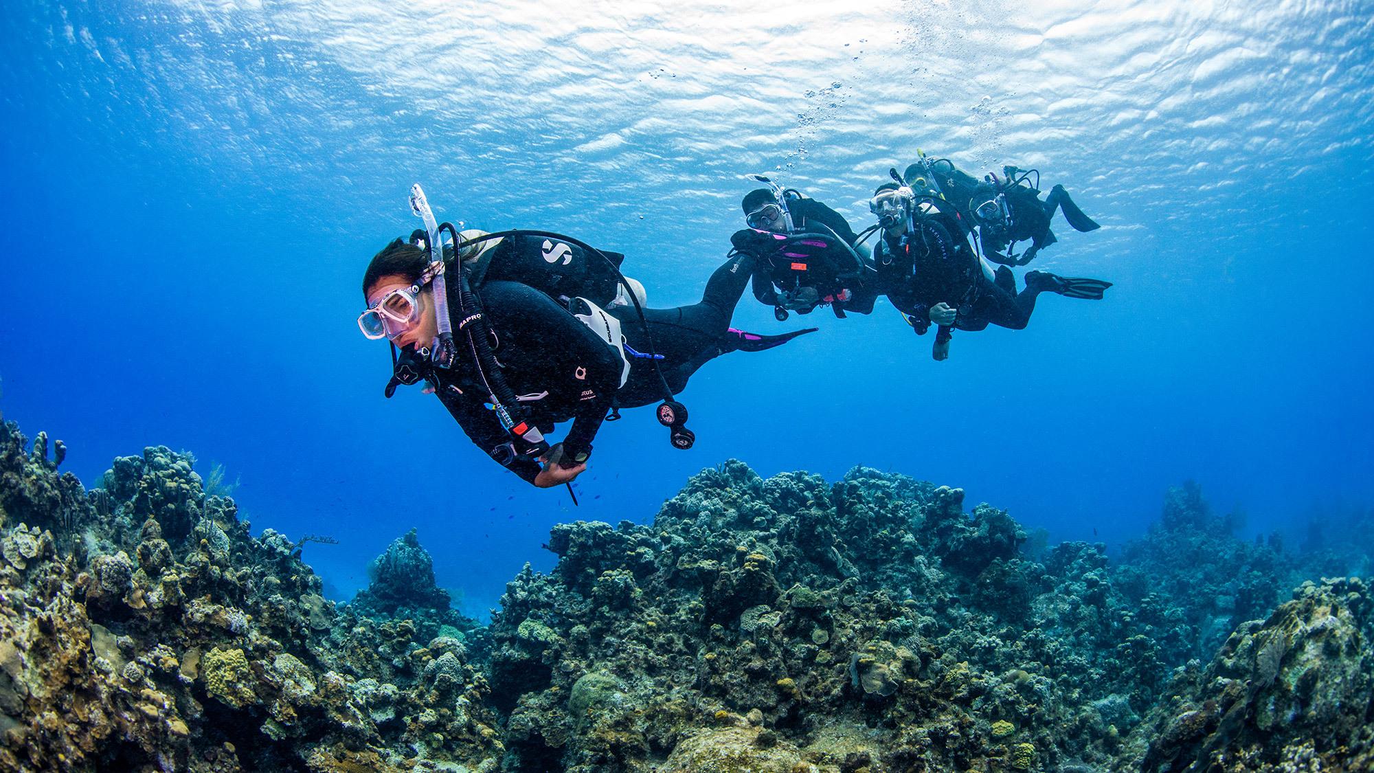 Why Become A PADI Divemaster?