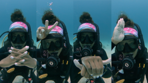Scuba Diving Hand Signals