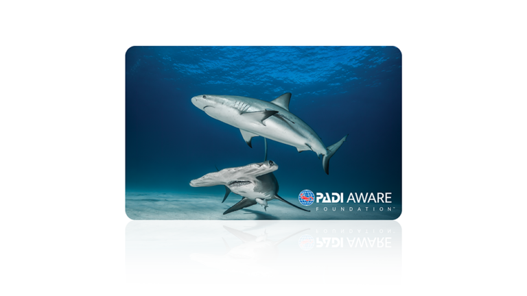 Our 2022 Certification Card Designs So Far. Which One is You?