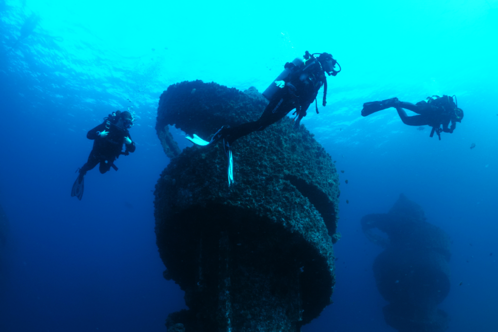 It’s a Wonder(ful) Reef