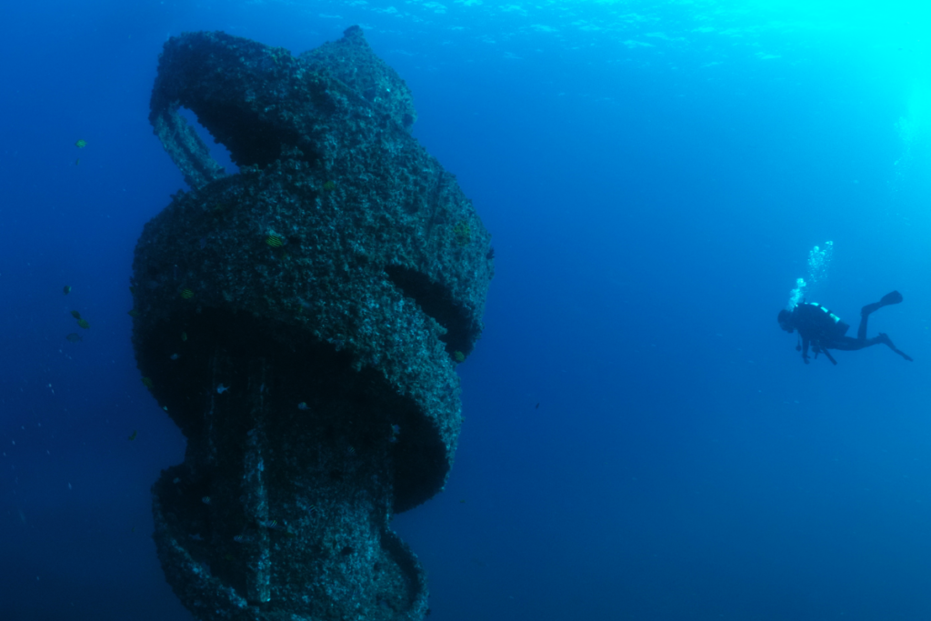 It’s a Wonder(ful) Reef