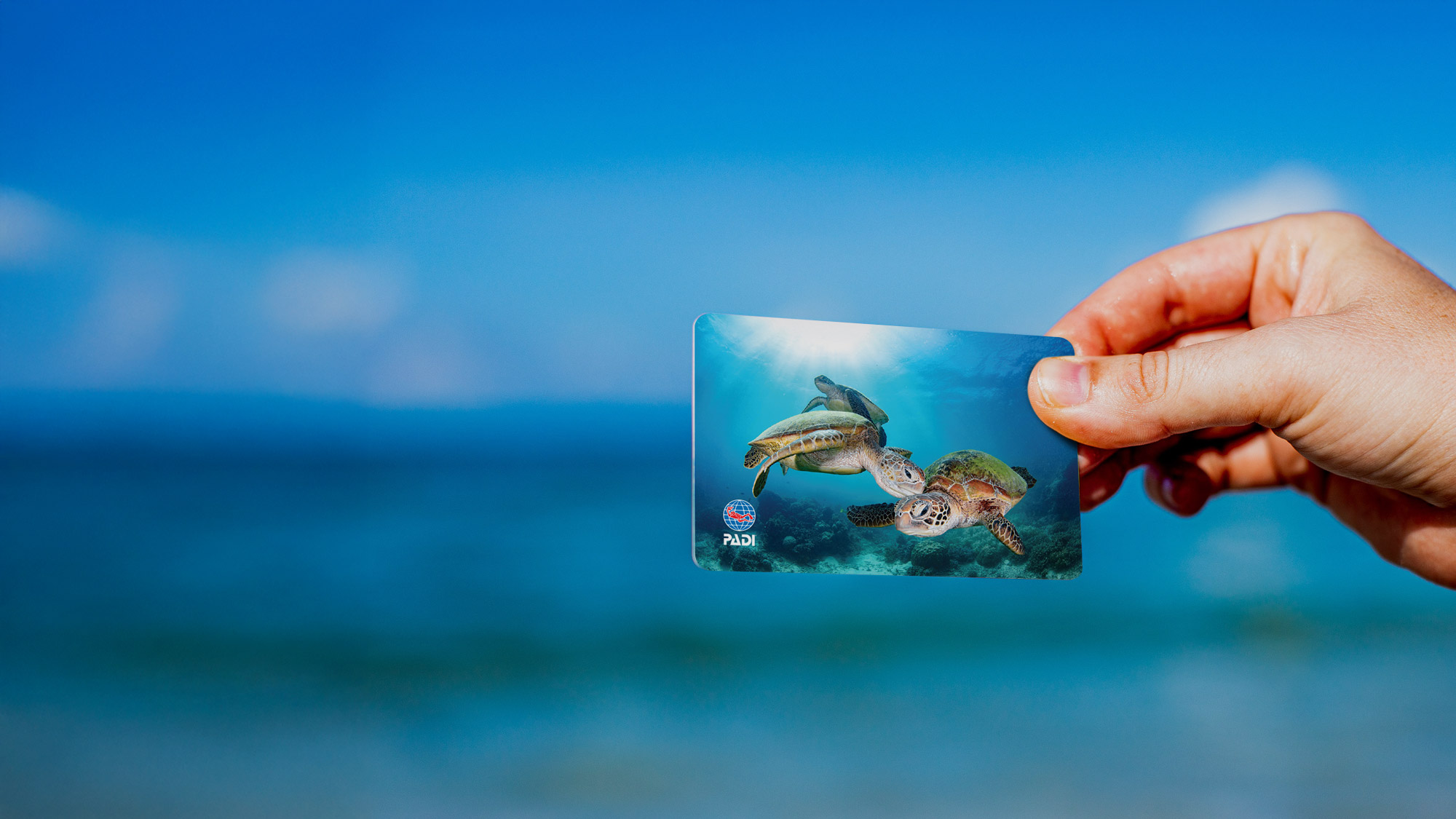 2025 PADI Certification Cards - Which Design Is Right for You?
