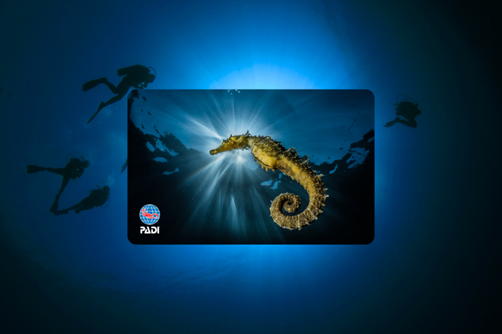 Can I Dive Without My PADI Card? It Depends...