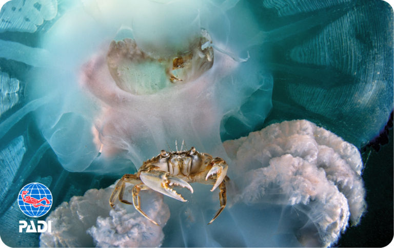 Sarah Wormald, Author at