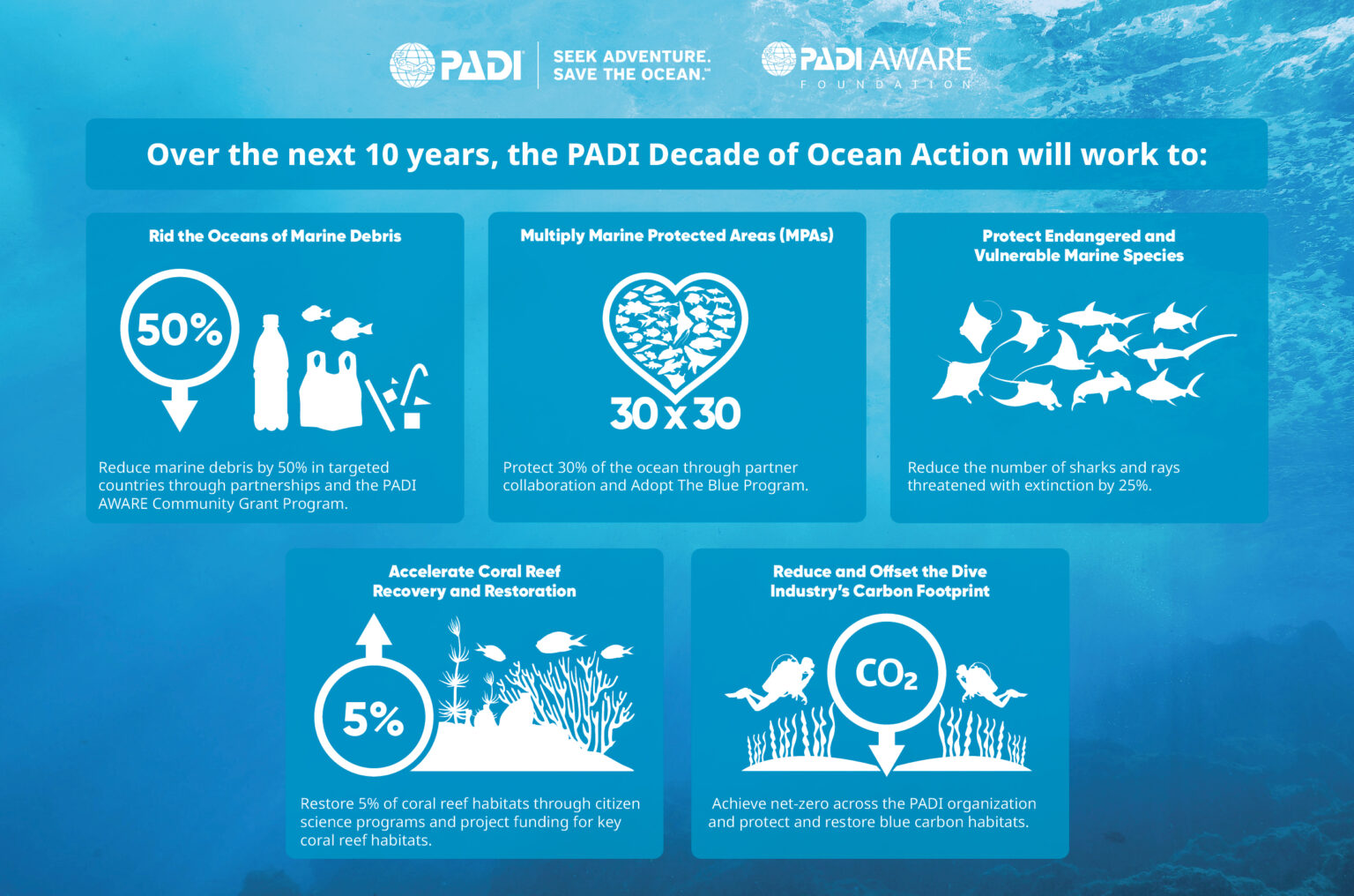 Want to Save the Ocean? PADI AWARE Can Help.